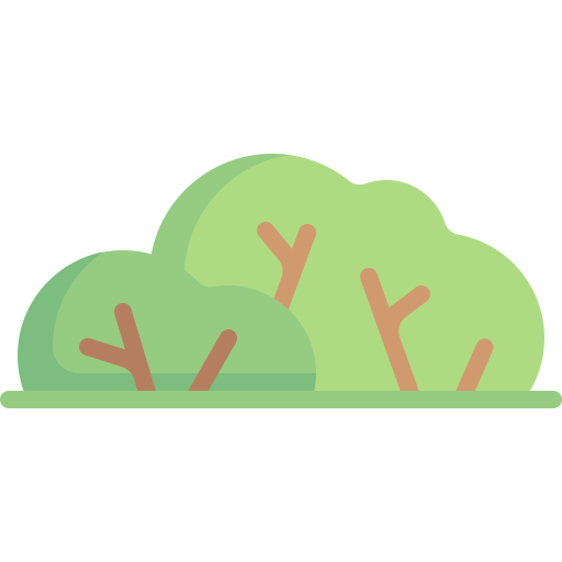 Candle | Olive Tree Software